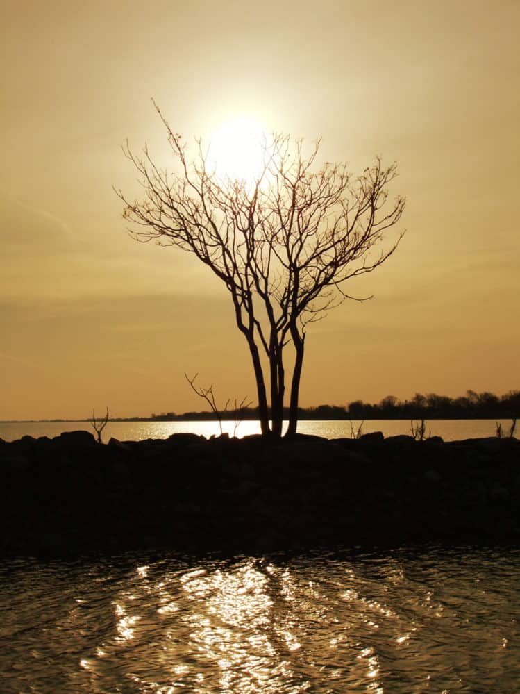 20 Beautiful Quotes For Inspiration ~ Just Our View From Here